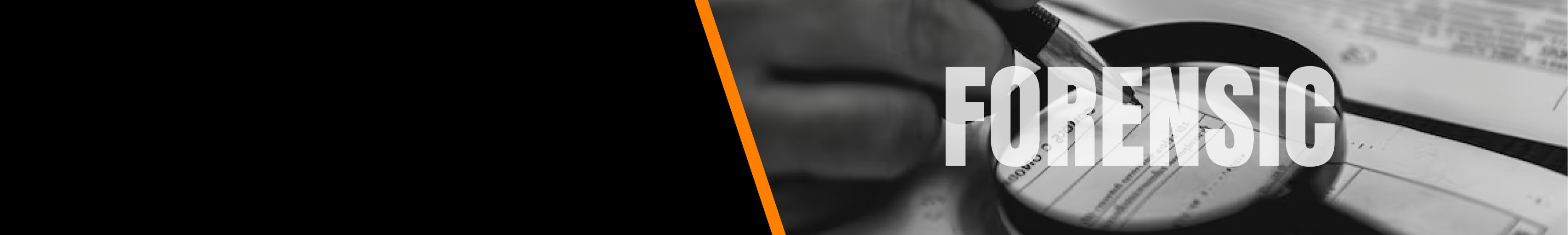 Expert Forensic Audit Services for Fraud Detection & Prevention